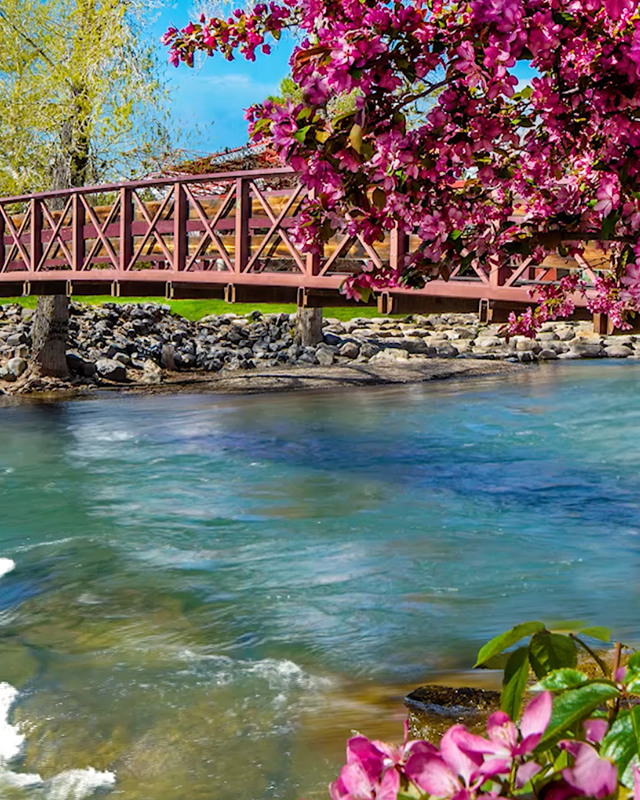 TMWA Home | Truckee Meadows Water Authority