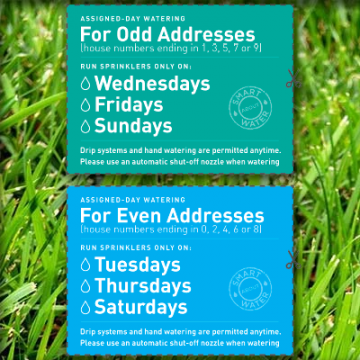 Are You Odd or Even? Know Your Watering Days! - Truckee Meadows Water ...