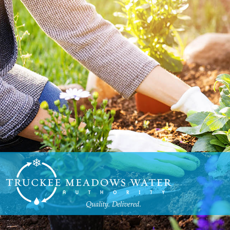 Spring is Time for Planning - Use TMWA's Online Landscape Guide ...