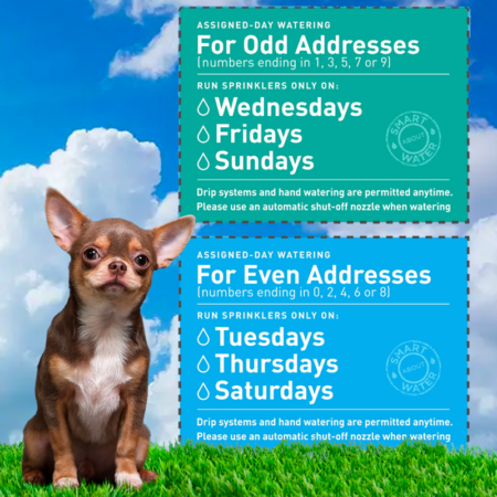 Know Your Watering Days and the Best Times to Water - Truckee Meadows ...